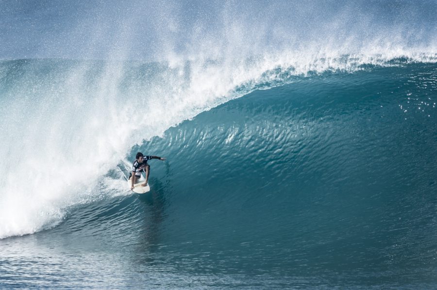 The Surfer's Guide to the Planet - WONDERLUST