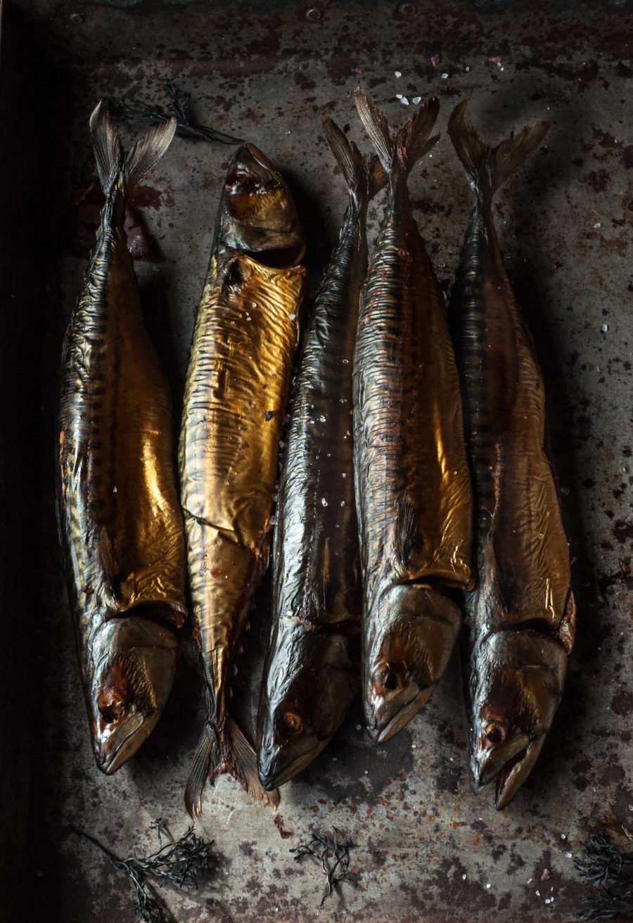 TEMPTATION ISLAND - WONDERLUST