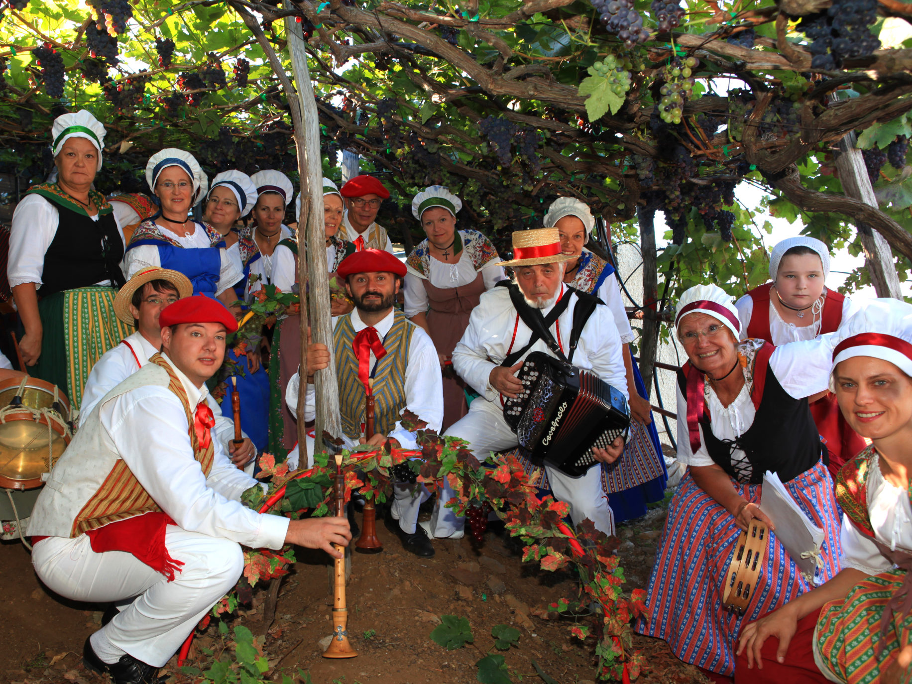 SAFE HAVEN - WONDERLUST