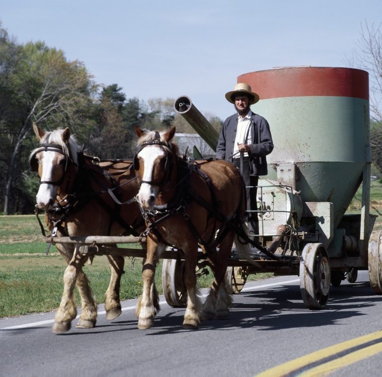 AMONG THE AMISH - WONDERLUST