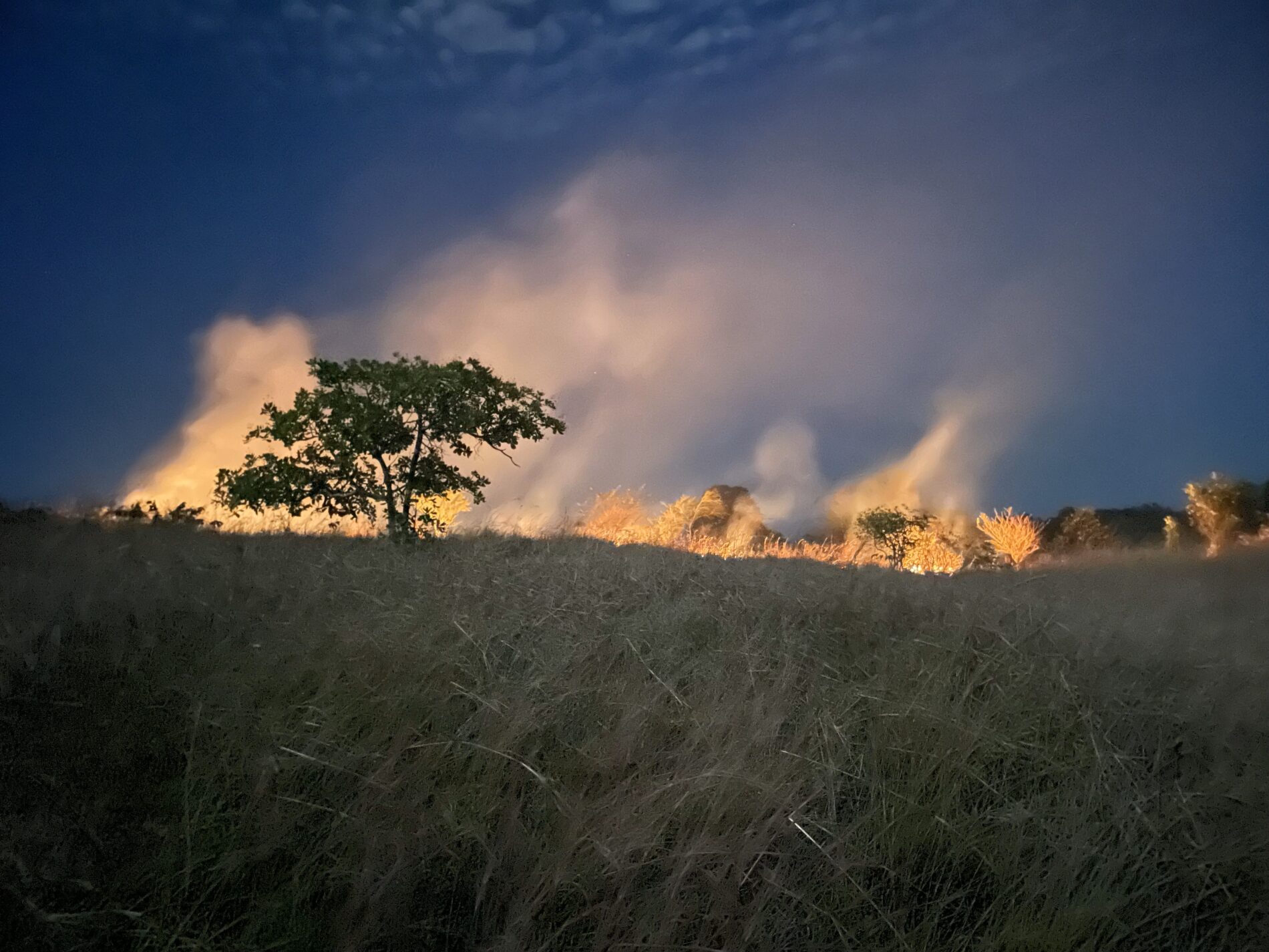 THE VAMPIRE OF TANZANIA - WONDERLUST