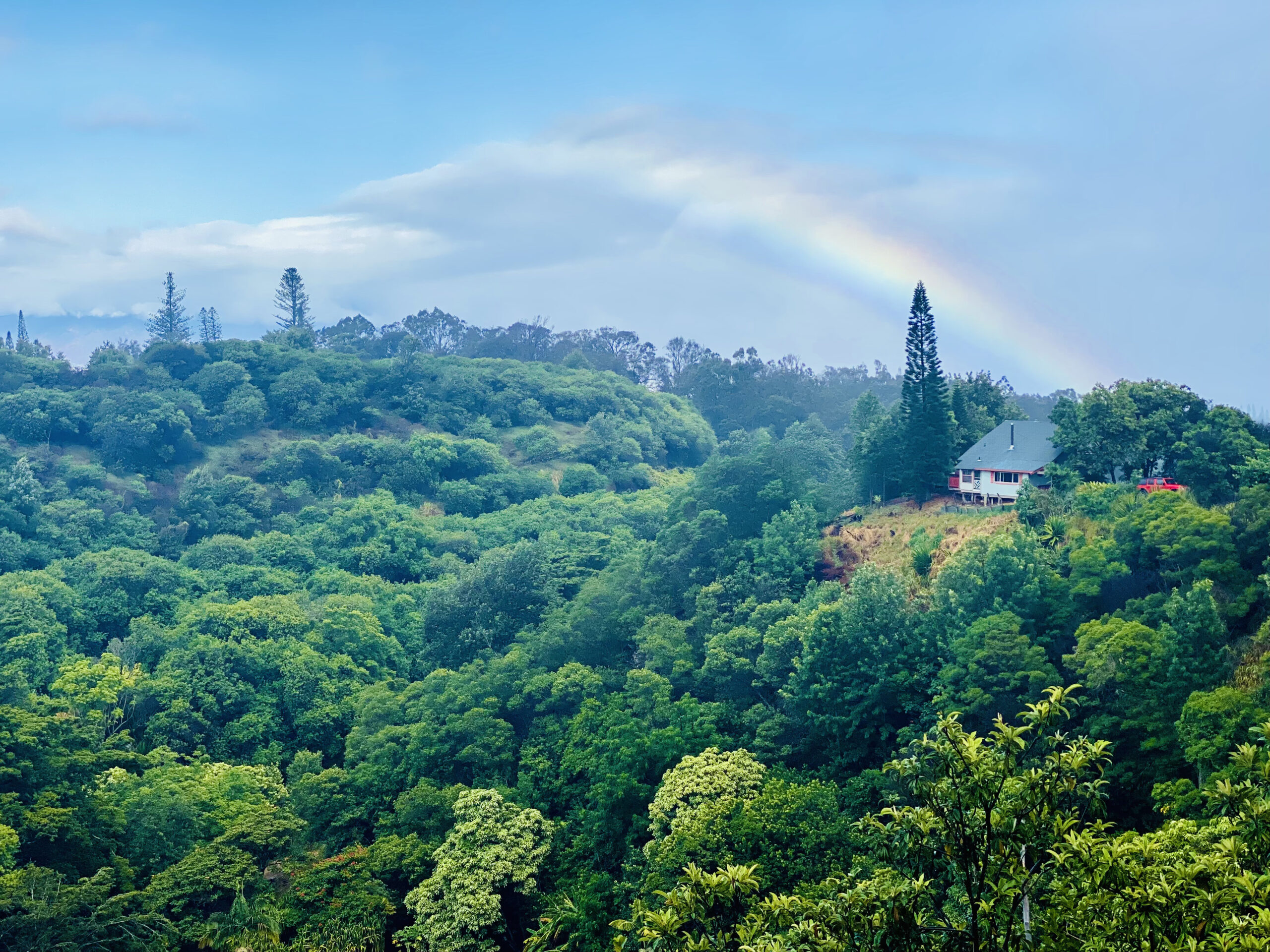 Get A Room! - WONDERLUST