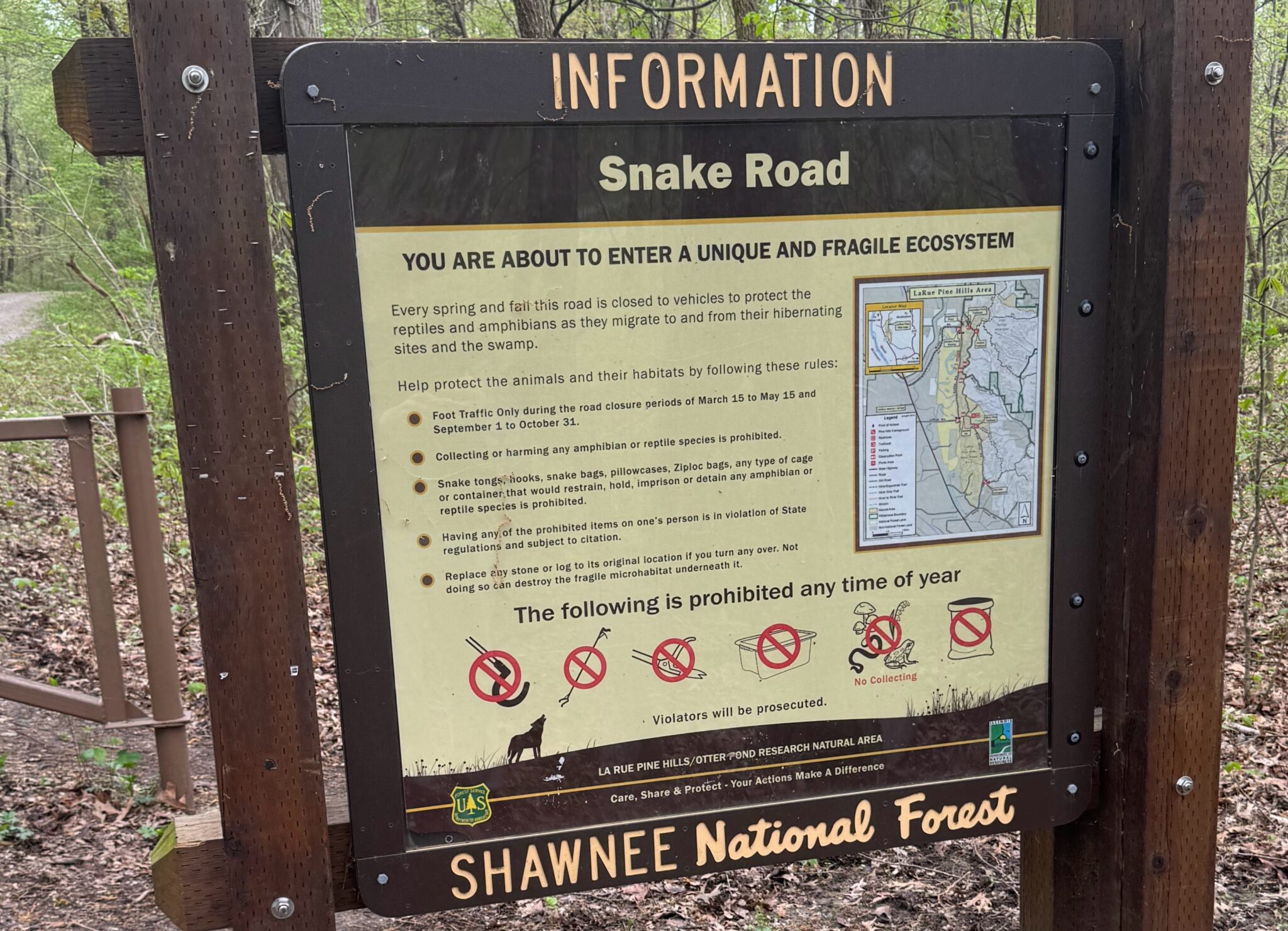 Snake Road is Exactly What You Think It is - a Road Full of Snakes ...