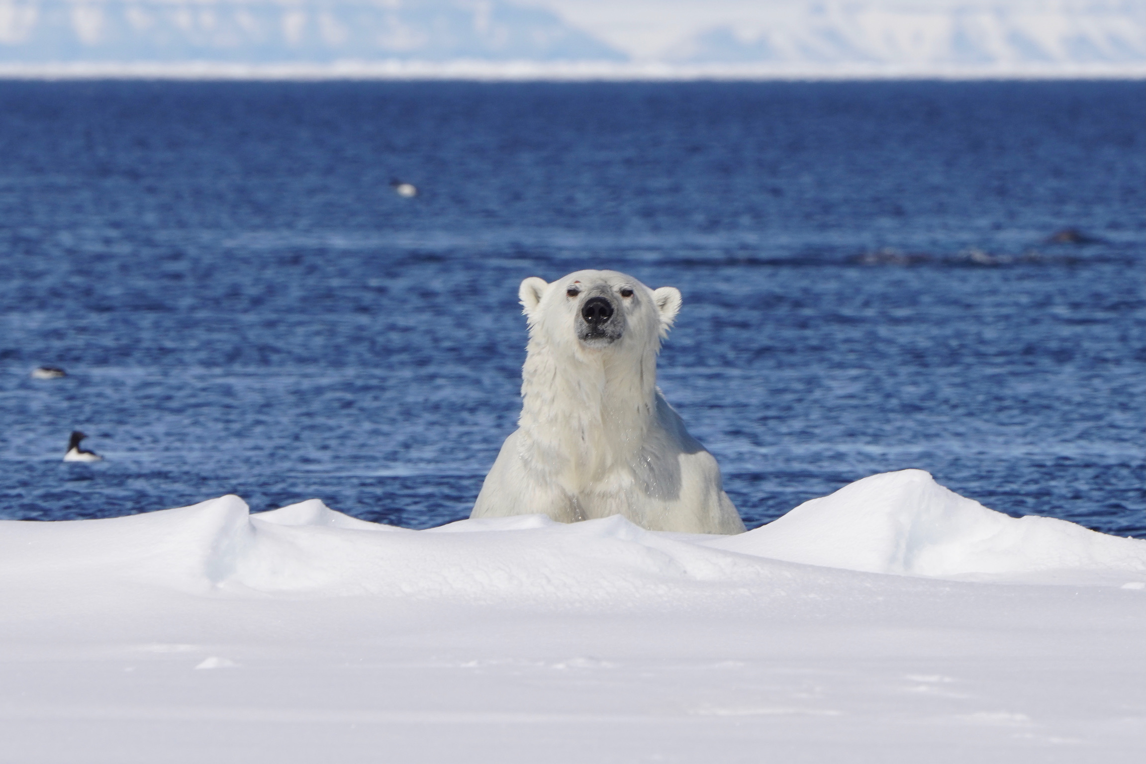 The Experience - Glamping in the North Pole - WONDERLUST